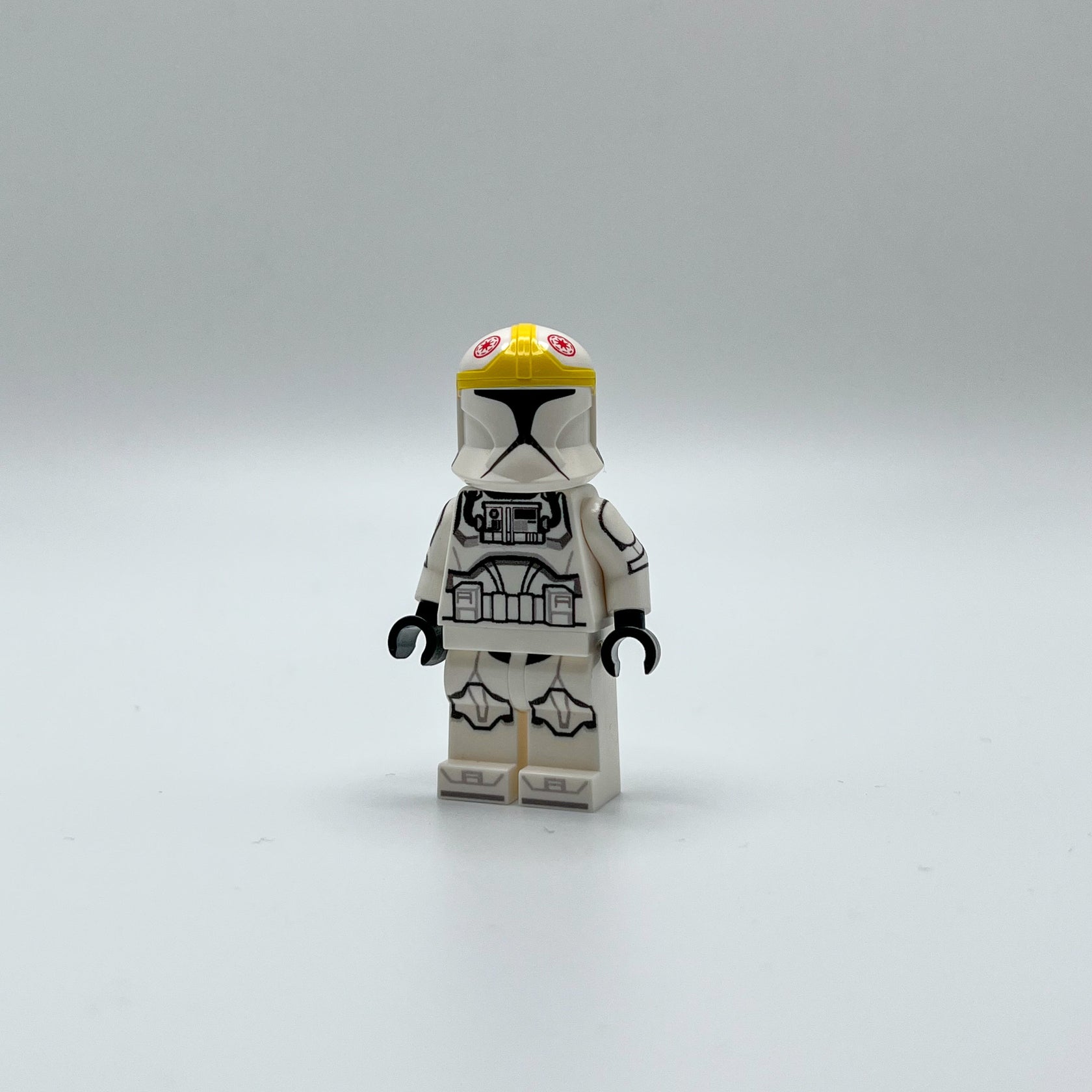 Phase 1 Standard Pilot – BCRcustom